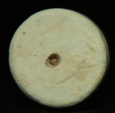 Very Nice Maynard Sporting Carbine Bullet ~ TL7966 $32 – Tennessee Lead