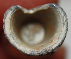 TL7333 Two carved Civil War Bullets $12 – Tennessee Lead