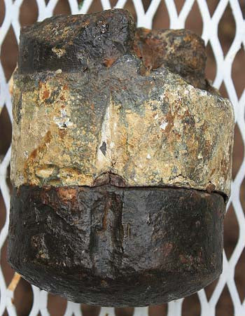 TL7220 Large Hotchkiss Shell Fragment $110 – Tennessee Lead