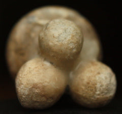 TL7042 Buck N Ball Bullet $15.00 – Tennessee Lead